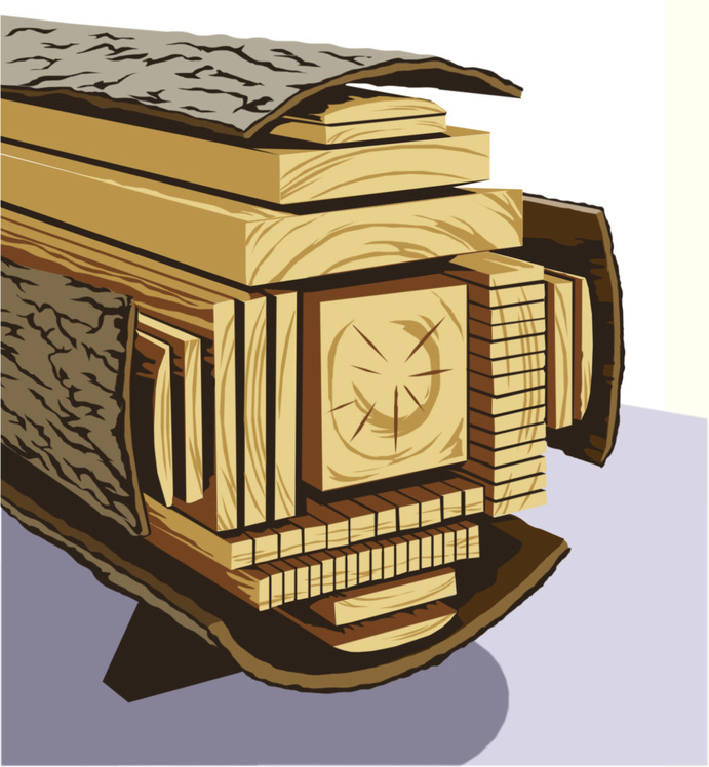 Give Wood Pellets More Attention - Land Energy